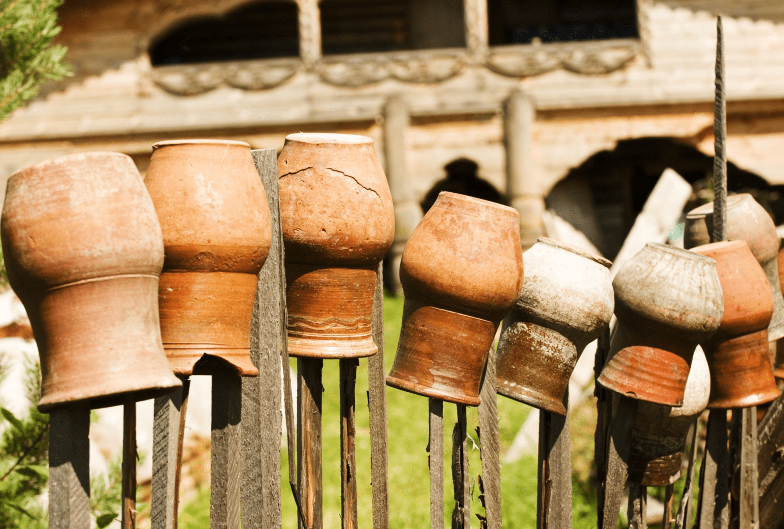 Ollas: The Ancient Clay Pot Trick That Keeps Your Garden Watered for ...