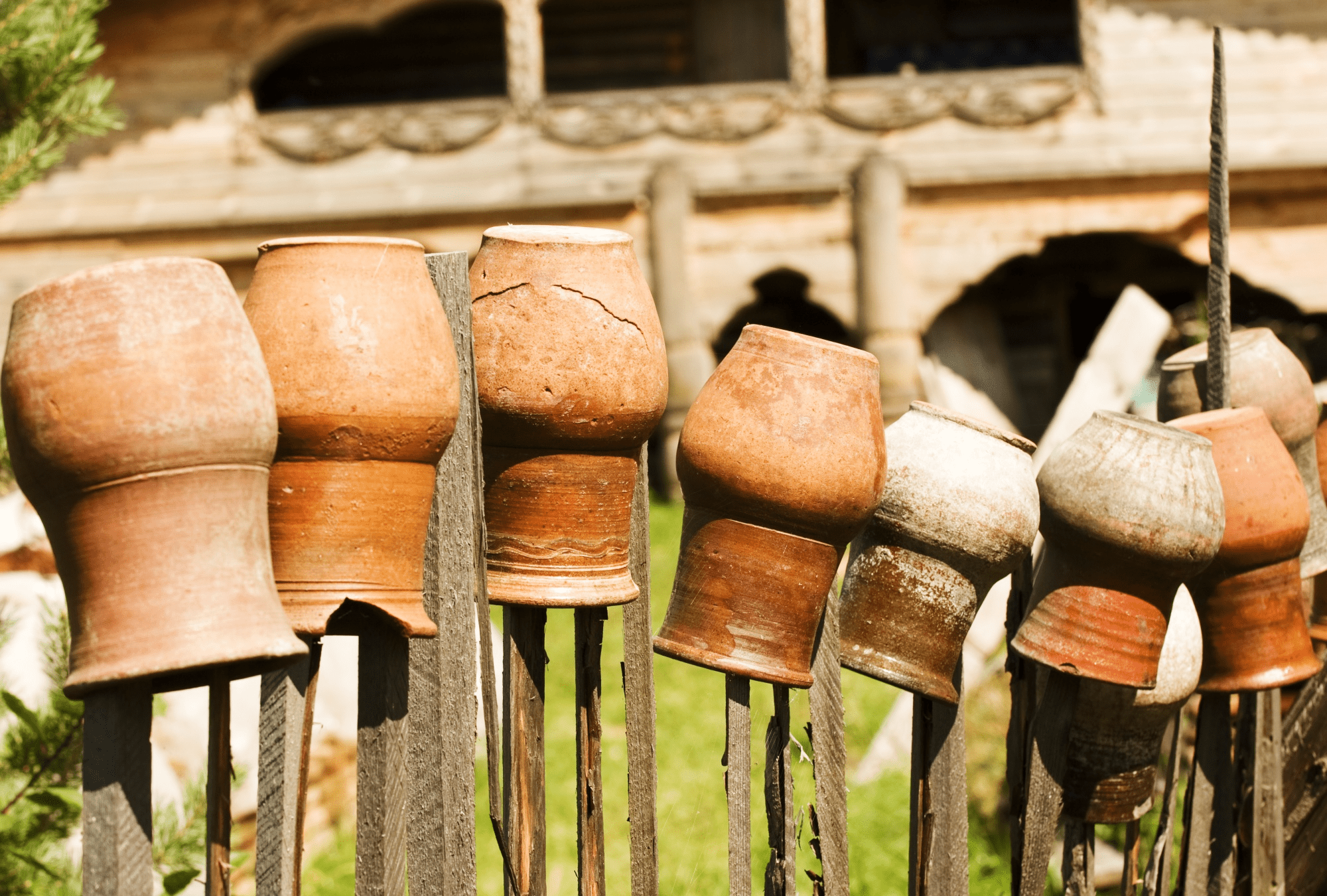 Ollas: The Ancient Clay Pot Trick That Keeps Your Garden Watered for ...